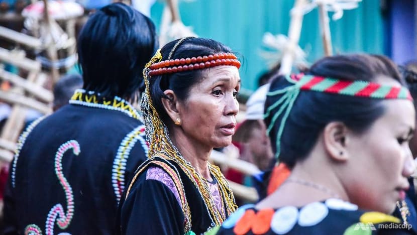 From behind shadows, indigenous Borneo tribes begin to embrace eco ...