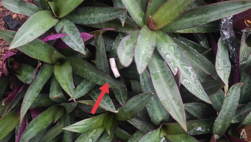 CCTV camera, team of NEA officers boost anti-littering efforts at this ...