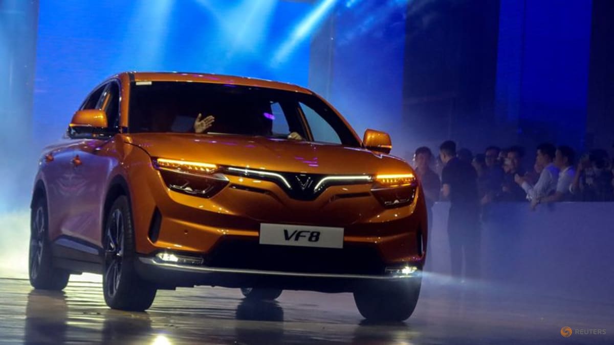 Vietnam EV maker VinFast plans promotions in response to Tesla price ...