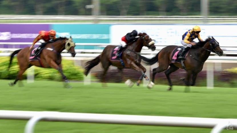 'Pity to see this go': Punters at Singapore Turf Club reminisce about ...