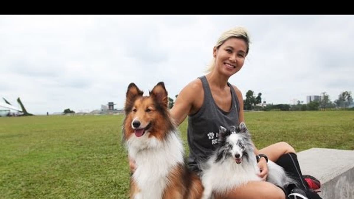 Running For The Underdog - TODAY