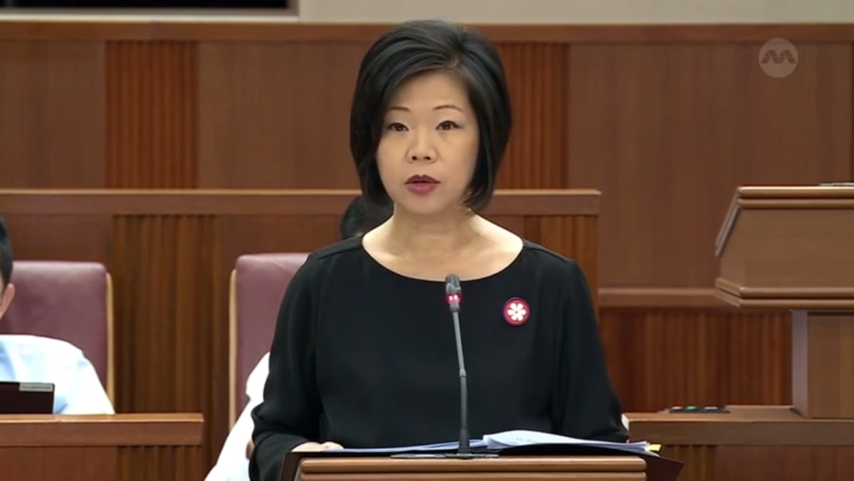 Sim Ann on technical issues affecting HDB Flat Eligibility letters - CNA