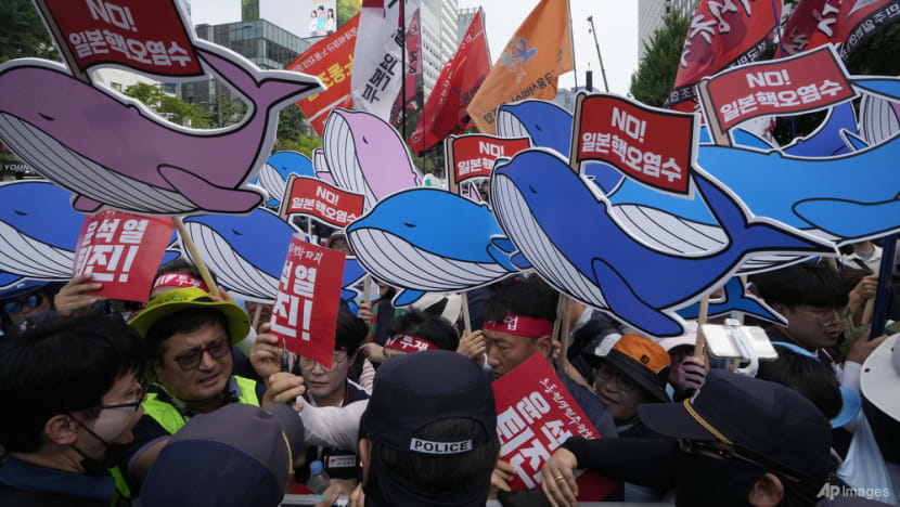 South Korean opposition steps up pressure on government to condemn ...