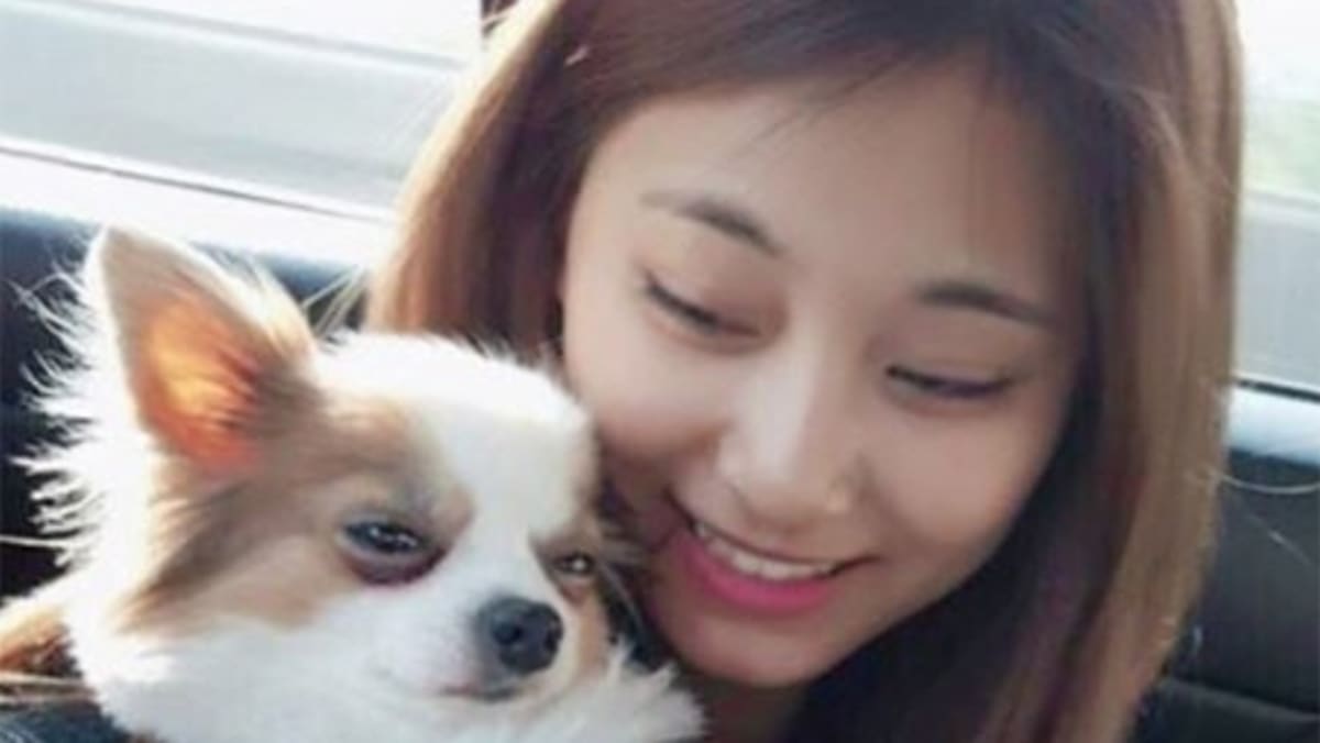 Twice′s Tzuyu Holds Cute Pose With a Pet Dog - 8days