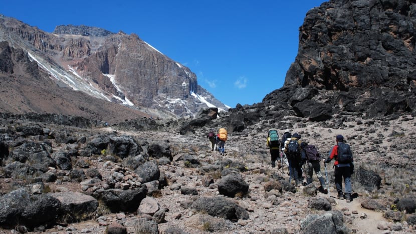 Commentary: What if failure is an option? The gamble of mountain ...