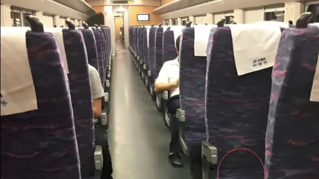 乘客称穿短裤搭高铁染真菌 官方：180天换洗一次 - 8world