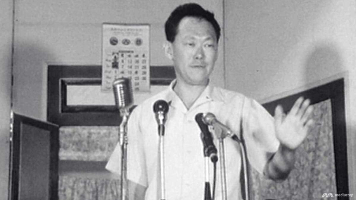 CNA documentaries Lee Kuan Yew: In His Own Words and I Remember Lee ...