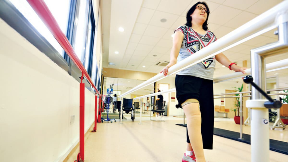 Amputees enabled by computerised prostheses WHAT’S NEW? - TODAY