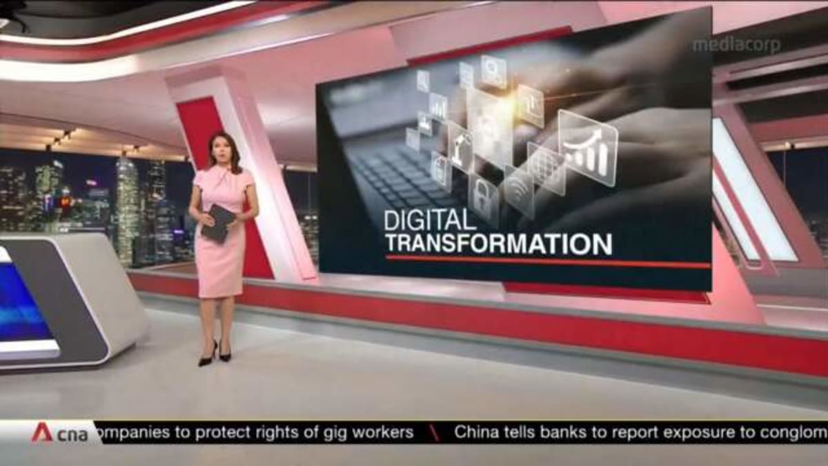 Digital 'Chief Technology Officer' helps 10,000 SMEs tap on tech | Video - CNA