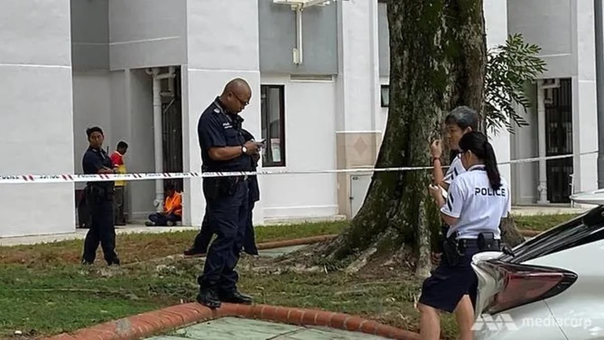 Mother accused of abandoning baby in rubbish chute has been remanded ... Mother accused of abandoning baby in rubbish chute has been remanded ...