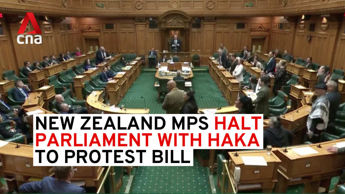 New Zealand MPs halt parliament with haka in protest of controversial ...