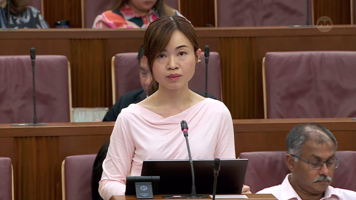 Tin Pei Ling on building an inclusive and safe digital society - CNA