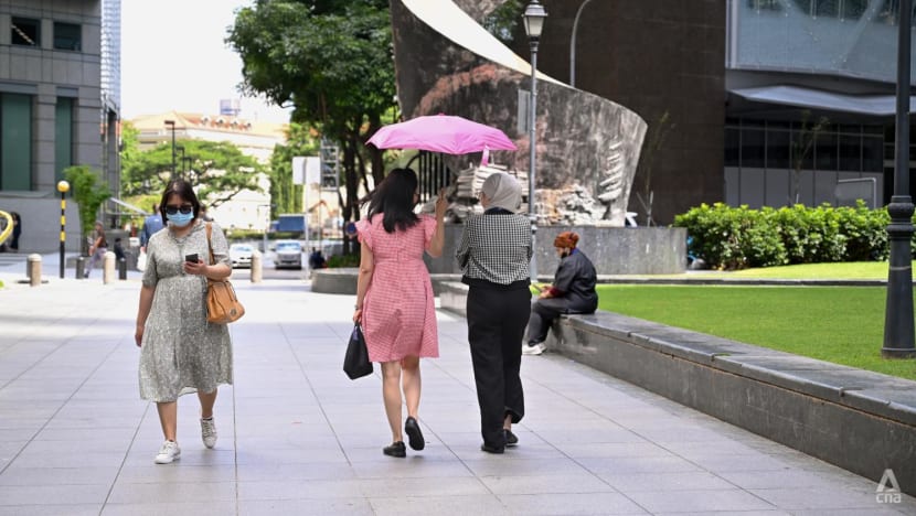 Flexi-work guidelines not enough to return to the labour force ...