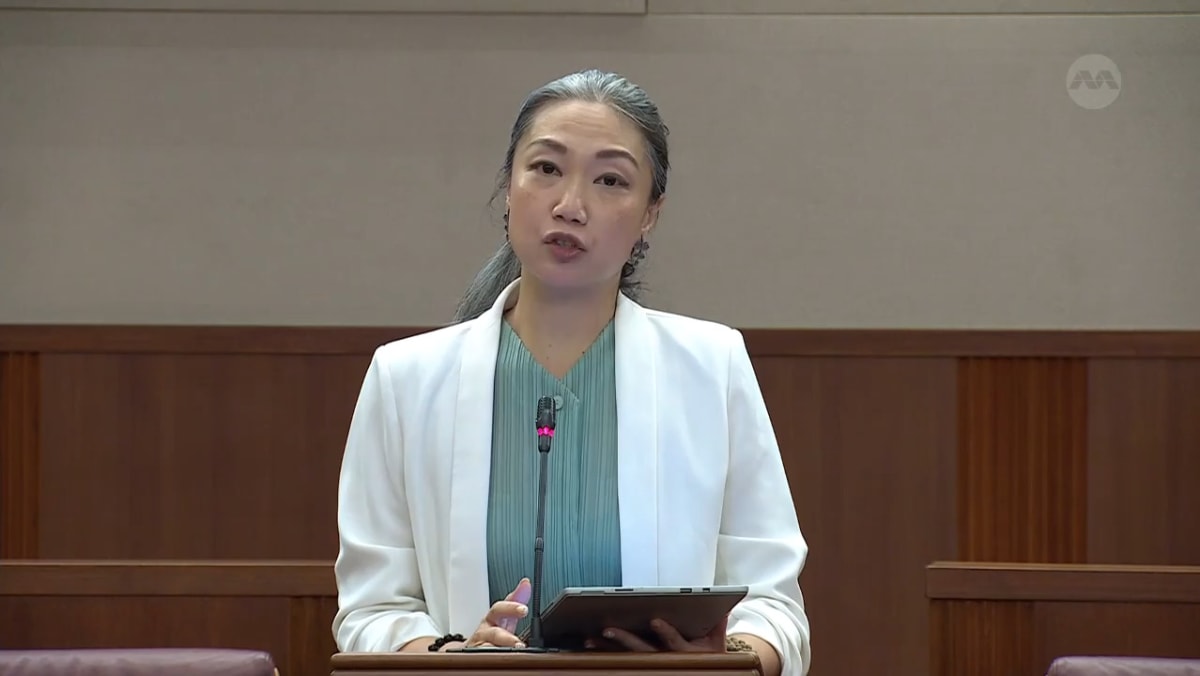 Committee of Supply 2024 debate, Day 6: Carrie Tan on integrating ...