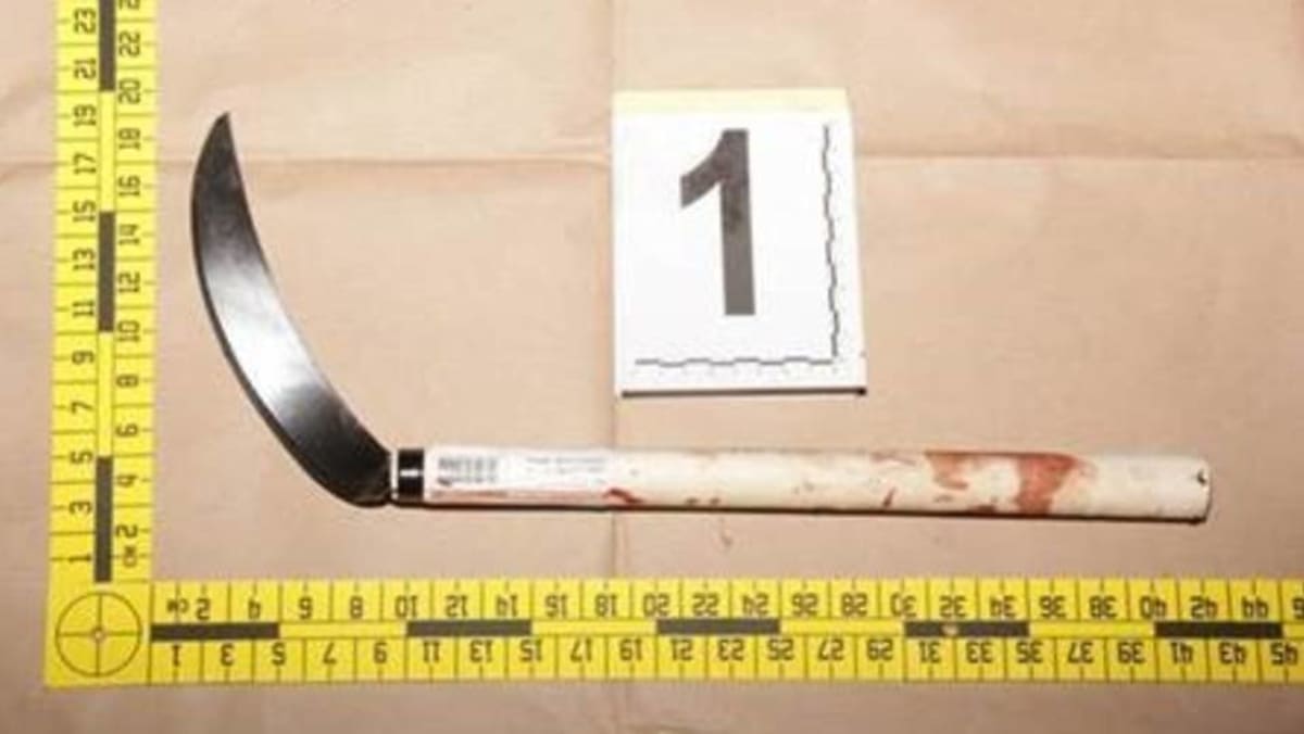 Man charged with using sickle to slash enforcement officer attached to ...