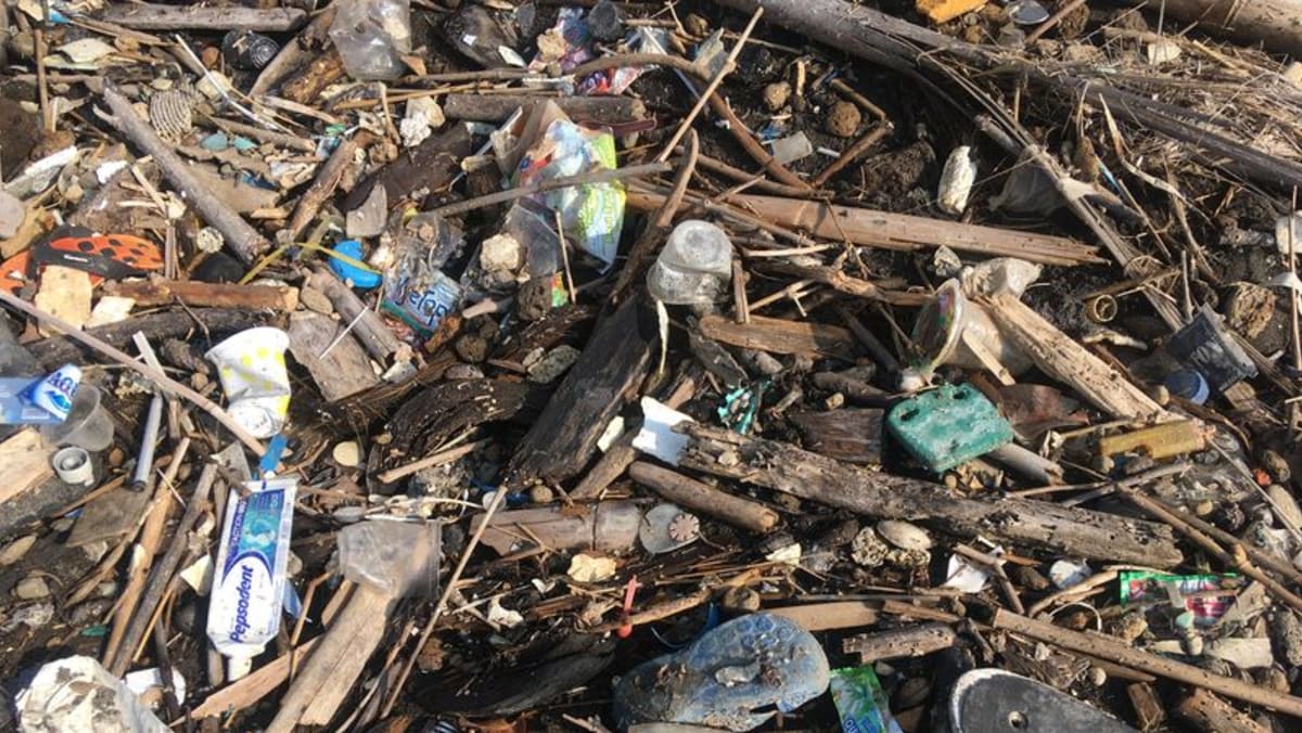 Trash heroes and scavenger apps battle Bali 'garbage emergency' - TODAY