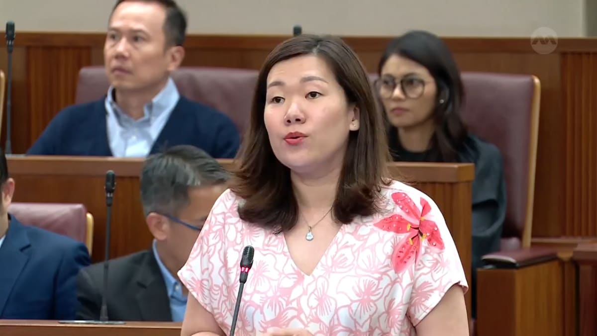 Committee of Supply 2024 debate, Day 1: Hany Soh on support for families with young children - CNA