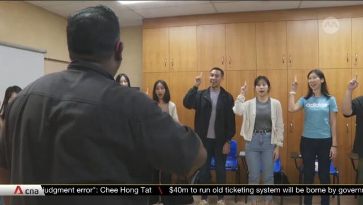 Government study on making Singapore Sign Language official | Video - CNA