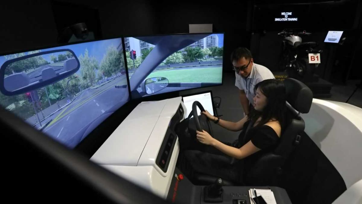 I tried the new simulator training for learner motorists and I survived ...