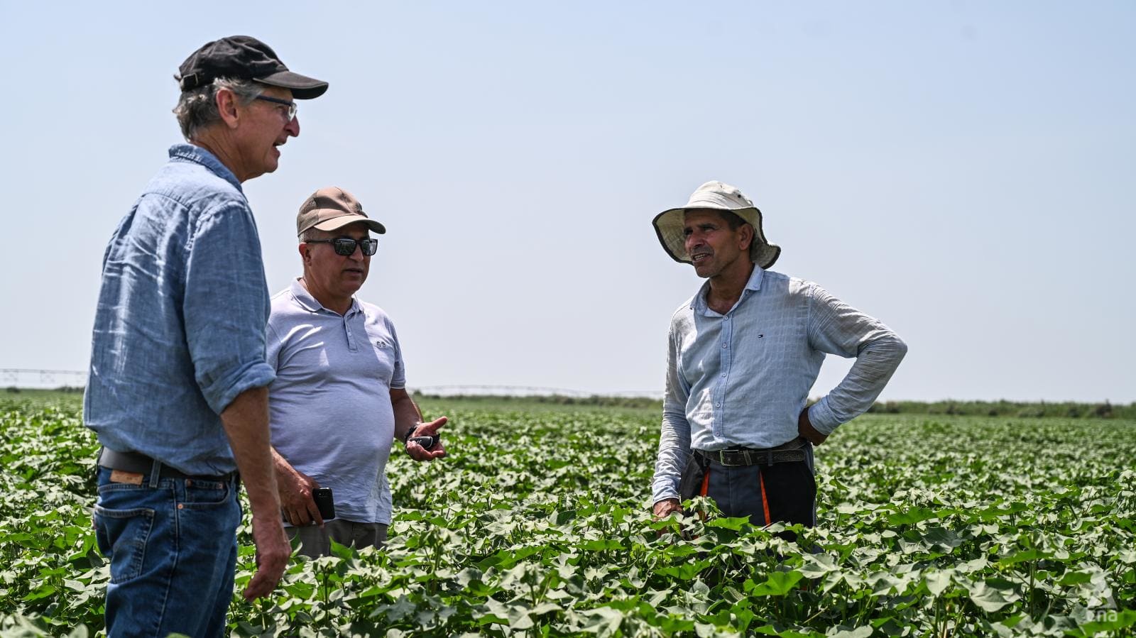 The female cotton pickers behind your clothes – and the climate change ...