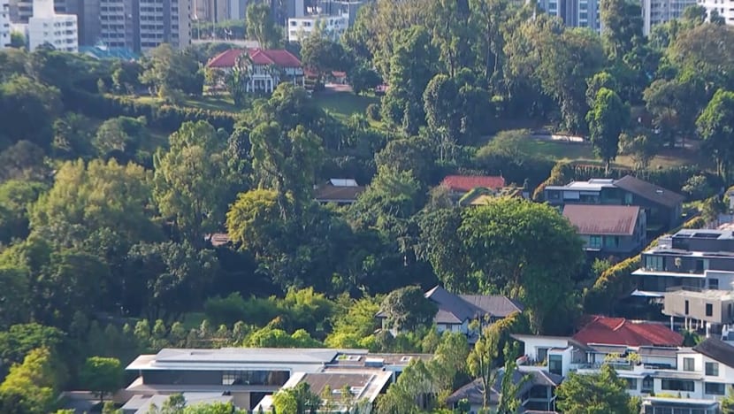 In numbers: The Ridout Road bungalows rented by ministers Shanmugam and ...