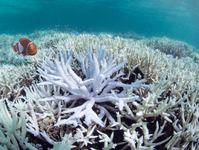 Why Unhappily Ever After artist Jeff Hong puts Disney characters in ...