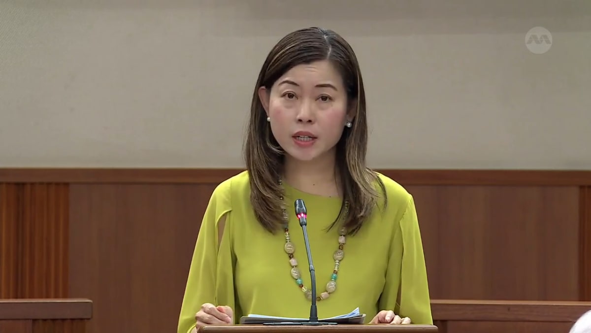 Committee of Supply 2024 debate, Day 6: Ng Ling Ling on building a ...