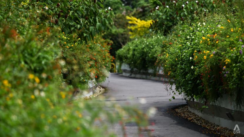 New Bidadari Park inspired by Winnie the Pooh forest, features ...