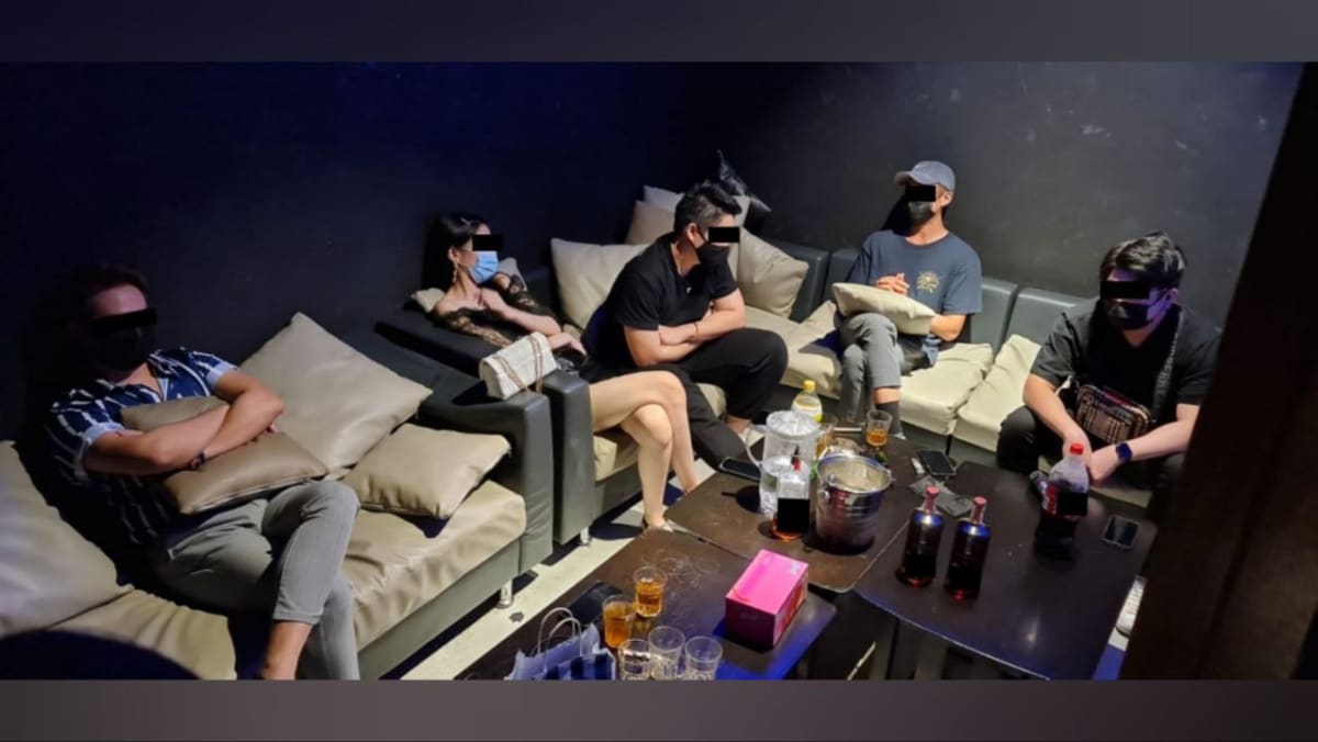 Unlicensed 'KTV-concept' outlets at private landed properties found ...