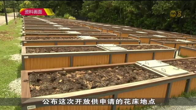 170多个花床即日起可申请租用 分配方式通过抽签决定 - 8world