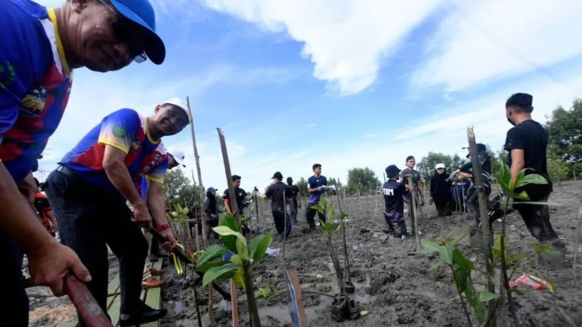 M sia Berhasil Tanam 33 Juta Sejak Lancar Kempen Penanaman 100 Juta M sia Berhasil Tanam 33 Juta Sejak Lancar Kempen Penanaman 100 Juta