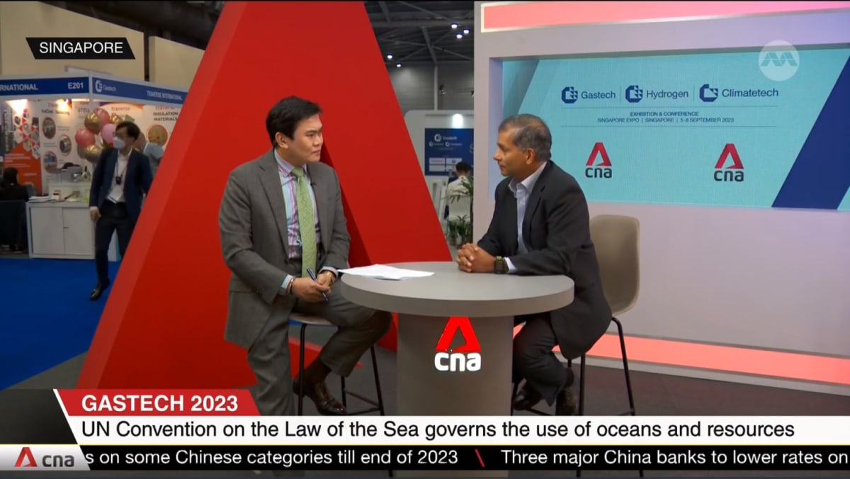 Gulfstream LNG CEO Vivek Chandra on lack of gas exploration in Asia - CNA