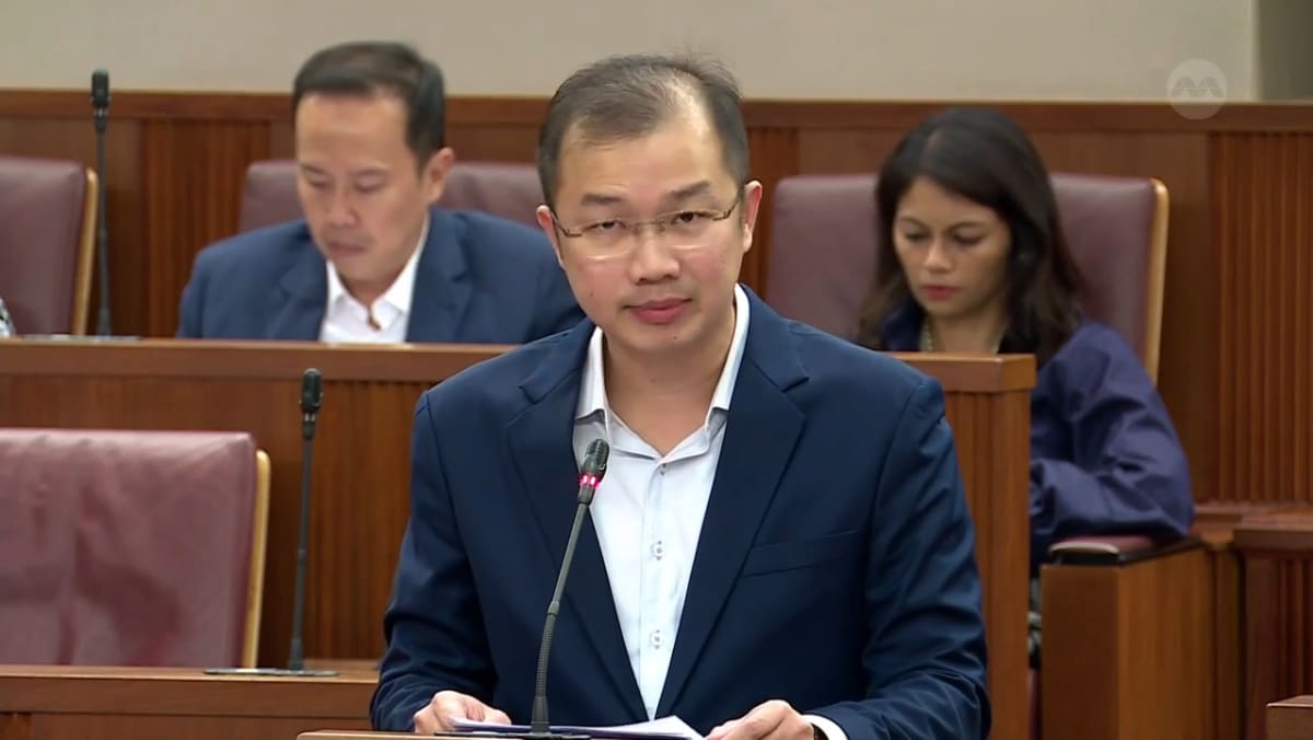 Louis Chua on Significant Investments Review Bill - CNA