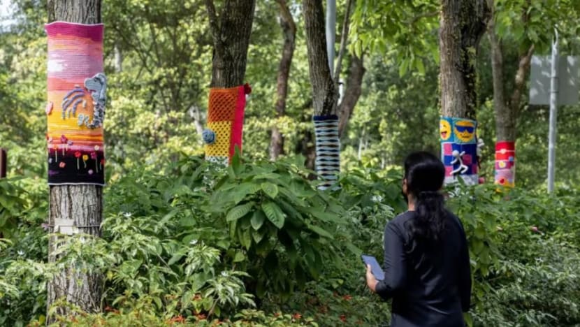 Pokok di Taman Tasik Jurong dililit kain kait warna-warni sempena Hari ...
