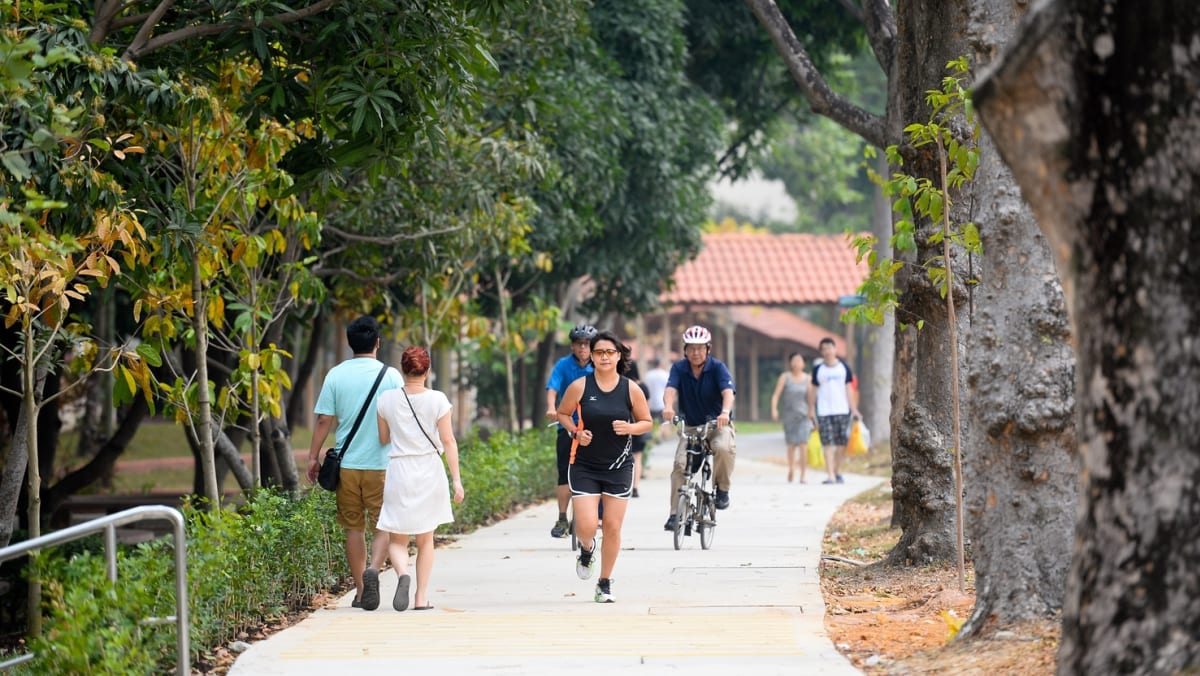 NParks launches new 36km park connector - TODAY