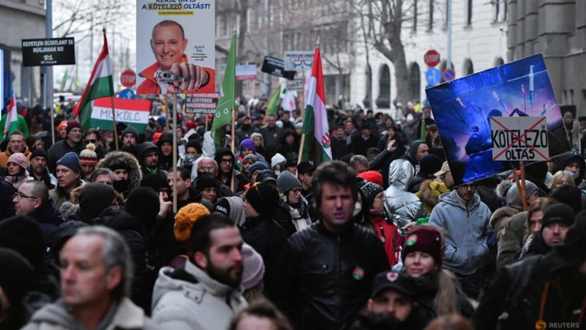 Anti-vaccine far-right rally attracts hundreds in Hungary - CNA