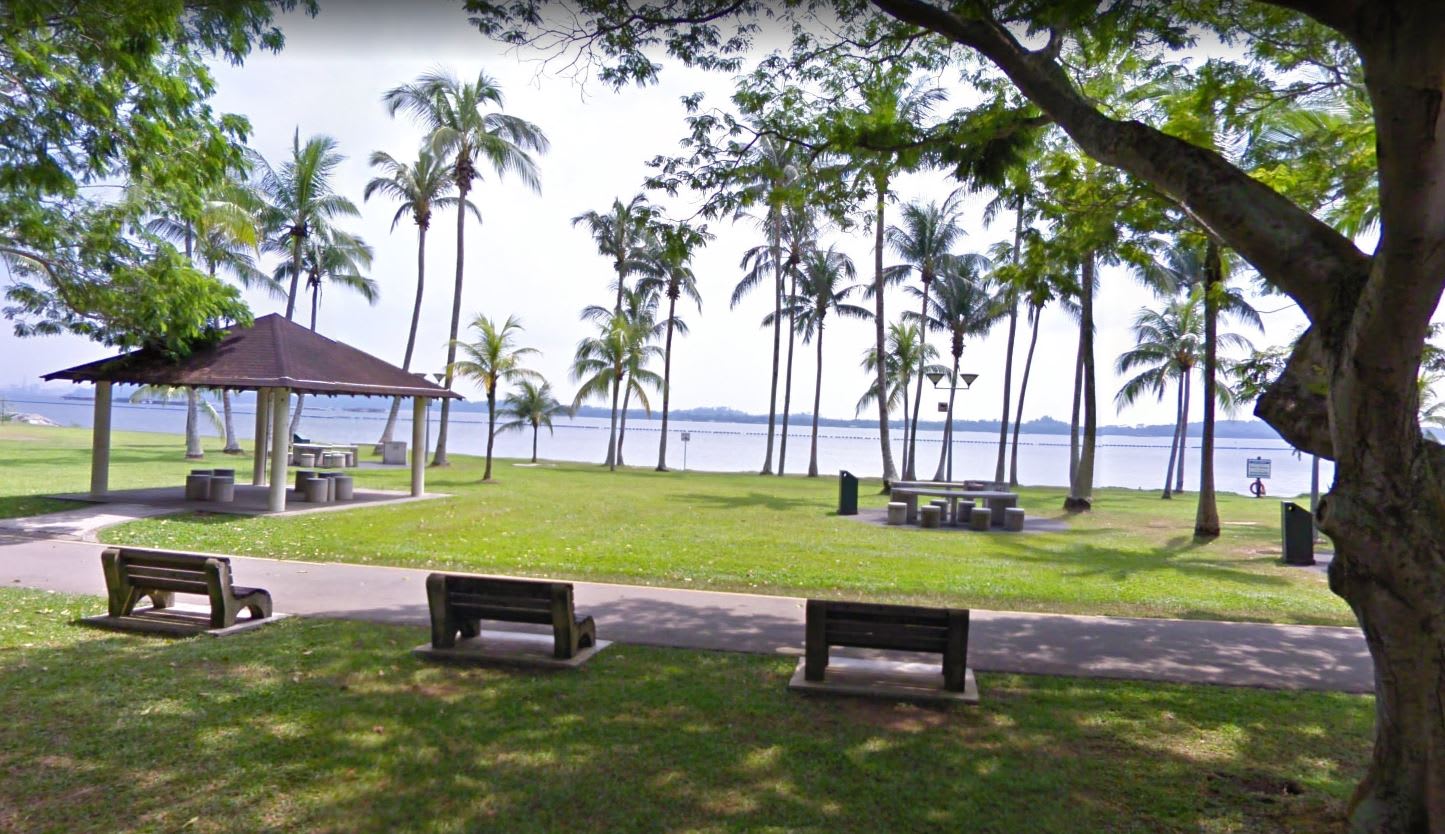 Police investigating after foetus found at Pasir Ris Park - TODAY Police investigating after foetus found at Pasir Ris Park - TODAY