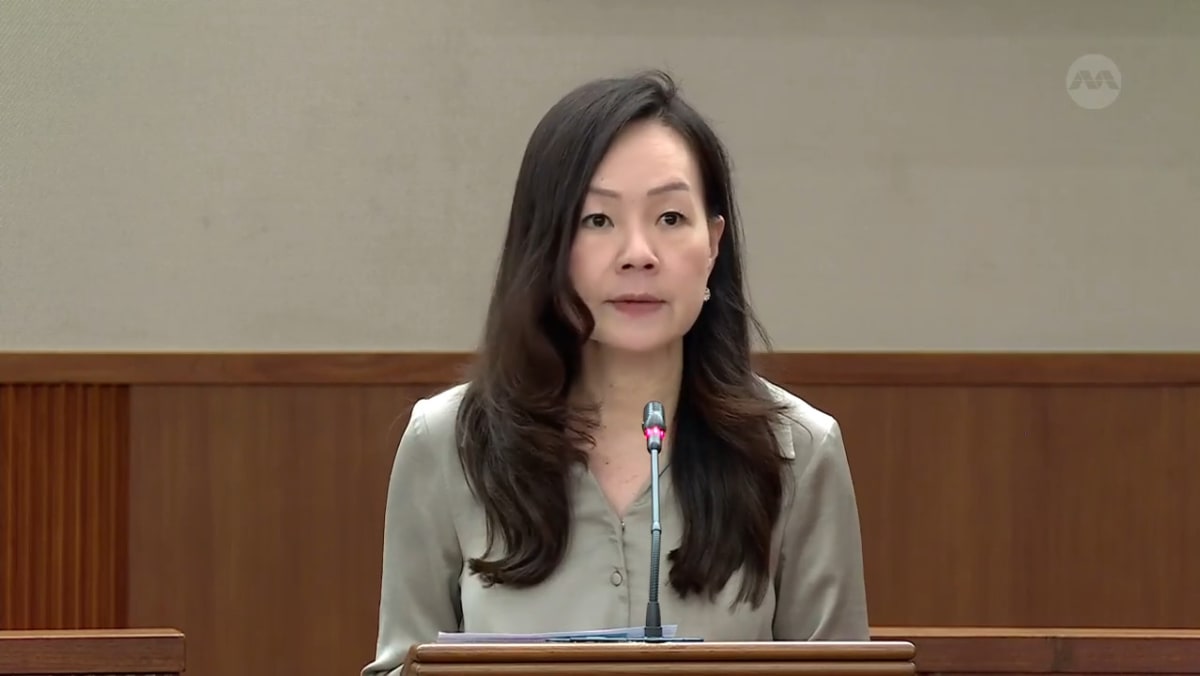 Committee of Supply 2024 debate, Day 4: Rachel Ong on PWDs' access to ...