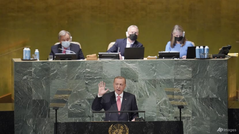 Turkish leader to United Nations: Be 'much more influential' - CNA