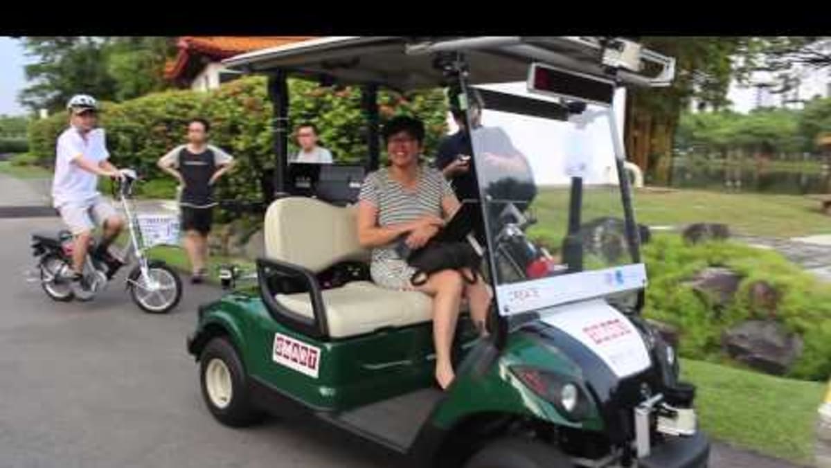 Driverless Buggy - TODAY