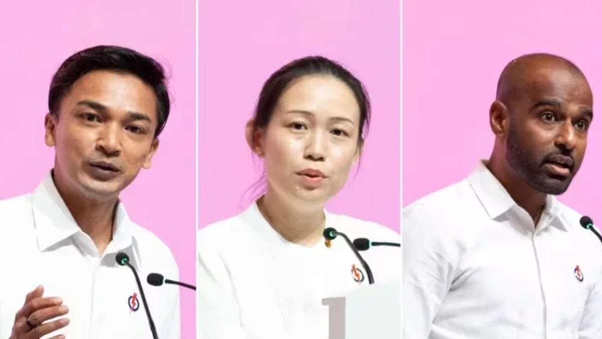 Prof Madya Elmie Nekmat, Dr Hamid Razak gesa PAP dakap kepelbagaian ...