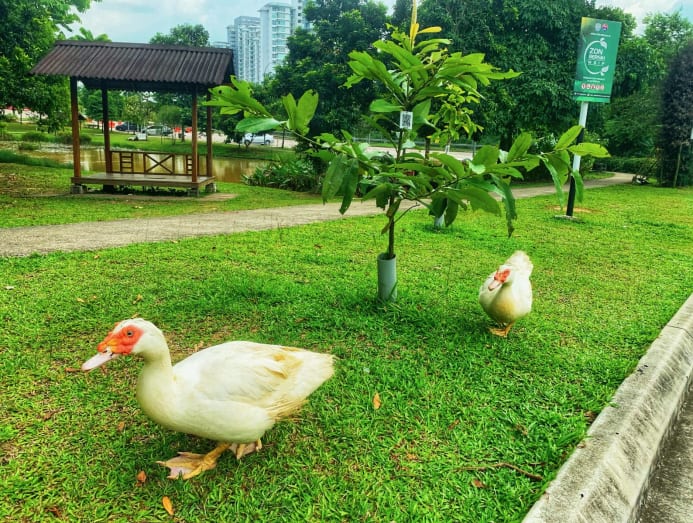 Guide to Johor Bahru’s Bukit Indah: What to do, where to eat - CNA ...