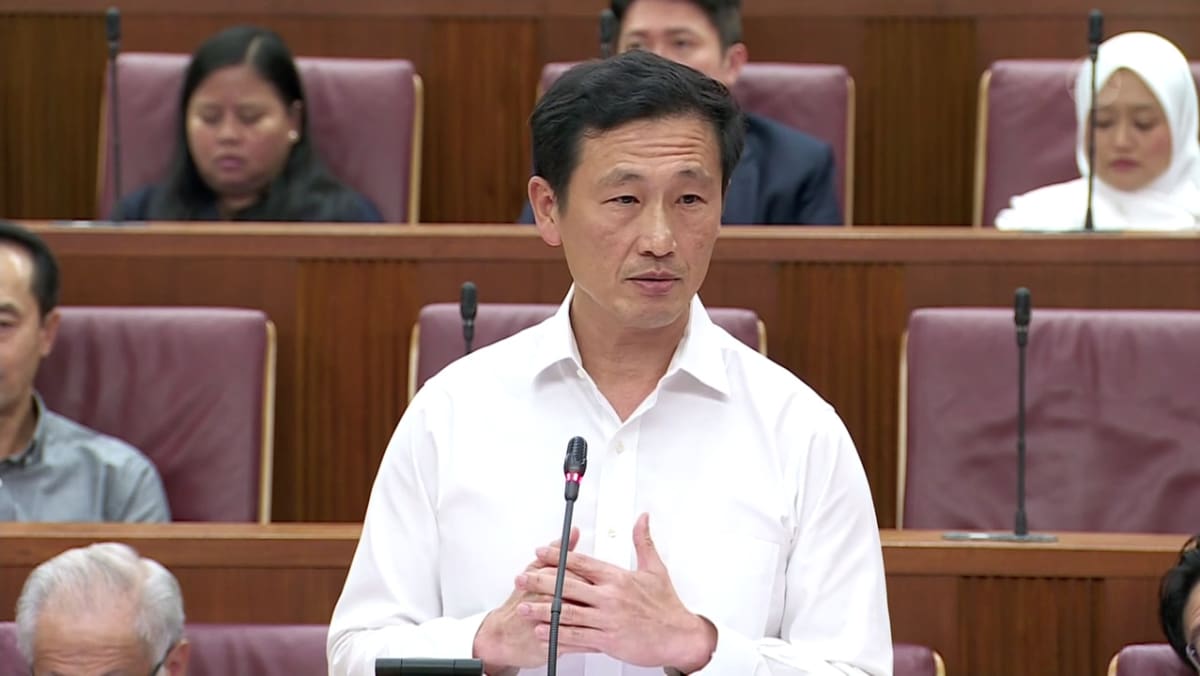 Debate on President’s Address: Ong Ye Kung on Singapore’s preparations for 'super-aged' status ...