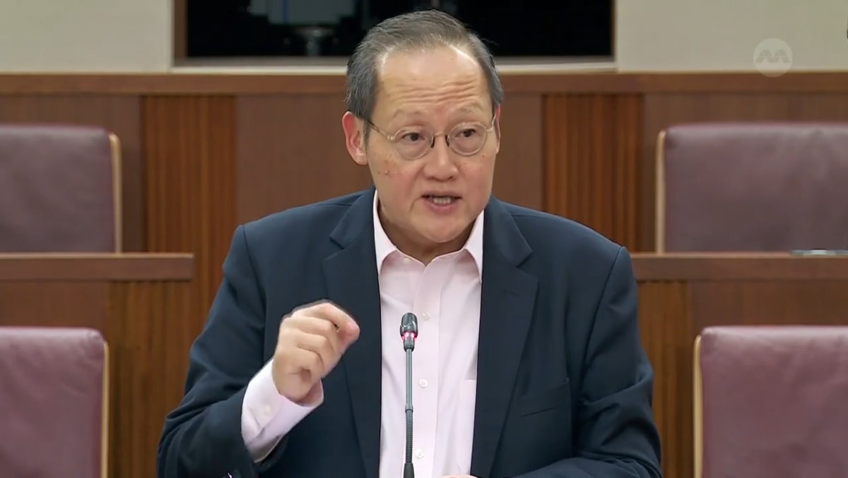 Committee of Supply 2023 debate, Day 4: Tan See Leng clarifies on ...