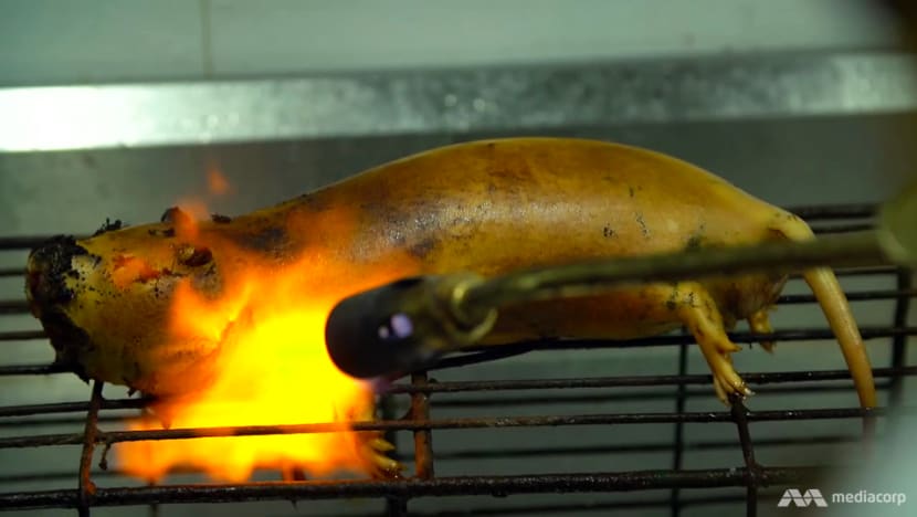 Bamboo rats – eco-friendly answer to growing appetites for meat? - CNA