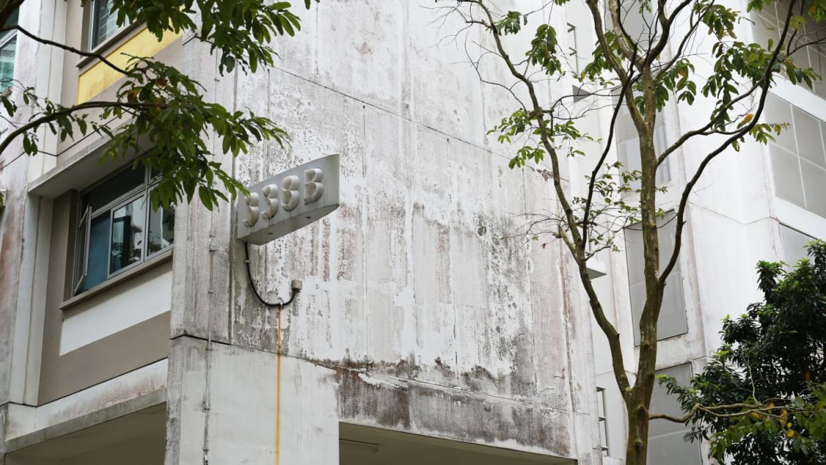 Mould-stained Sengkang flats: All new HDB blocks painted with algae ...