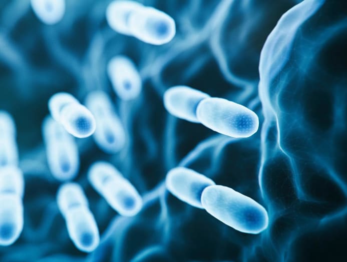 Your poop in capsules: Why this could be the key to solving your future ...