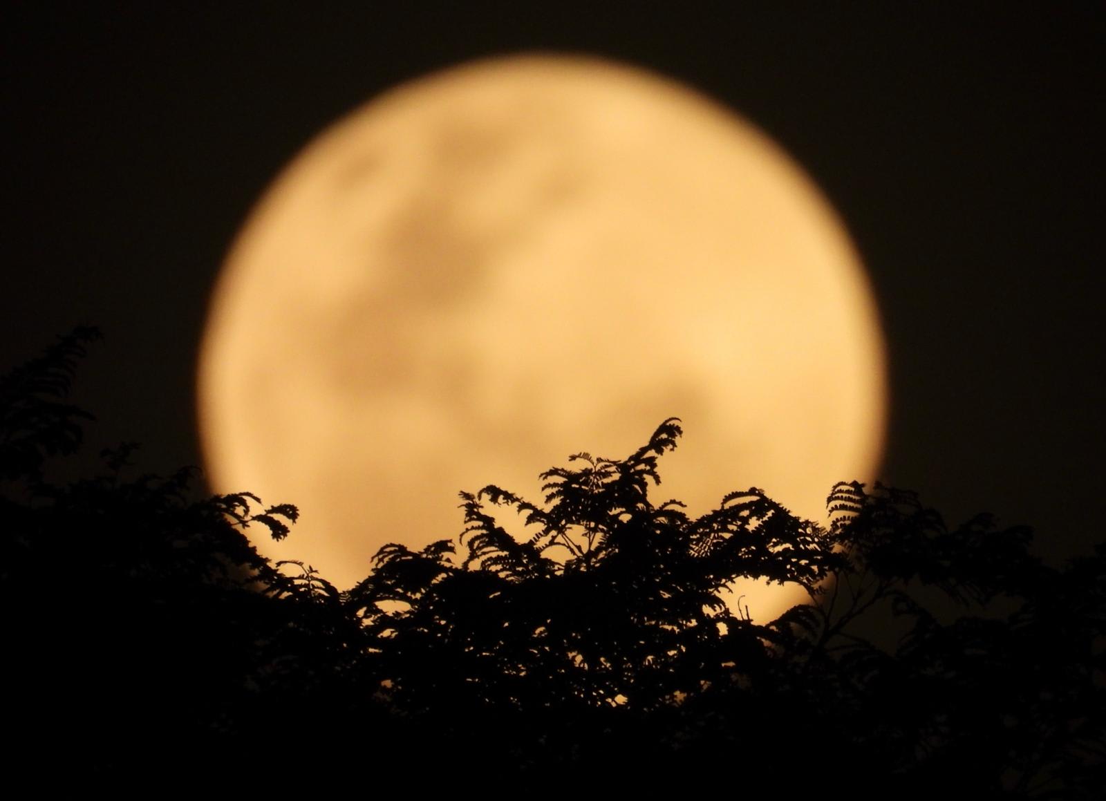 In pictures: Worm Moon illuminates the night sky - CNA