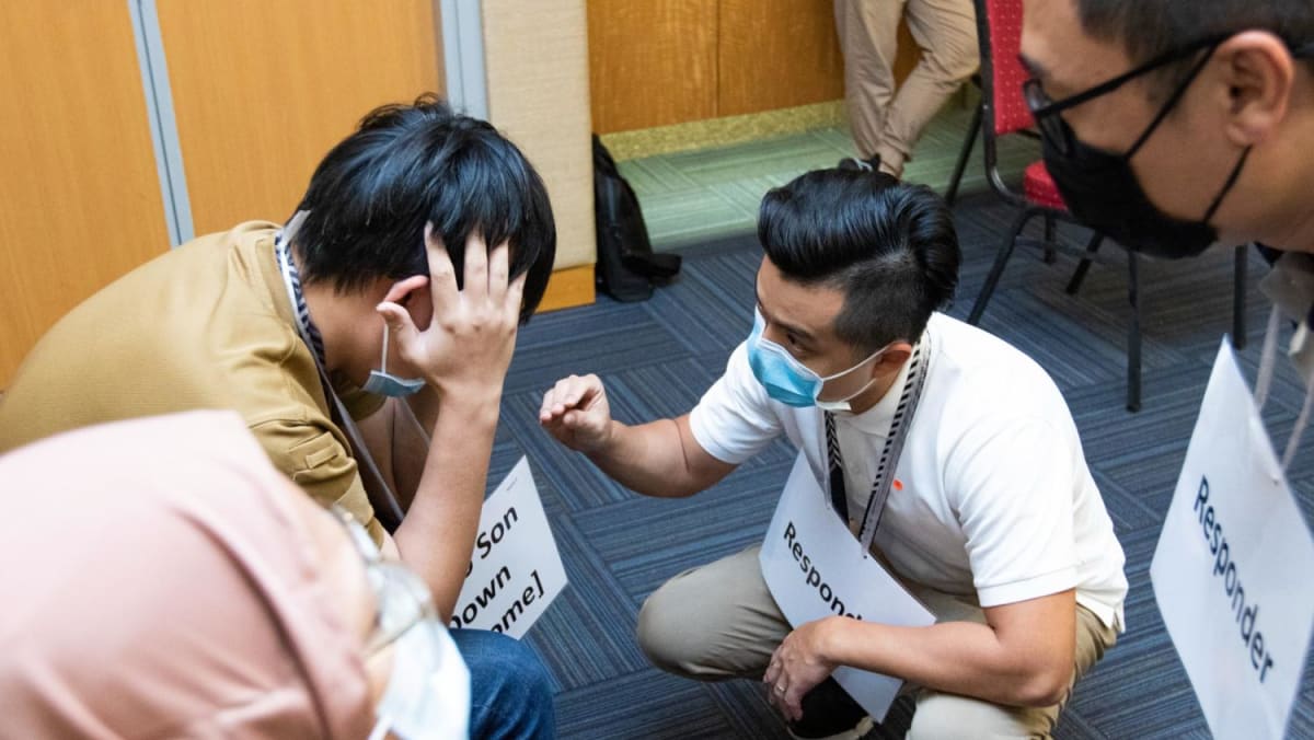 Amid rise in family violence, officers trained to manage such cases ...