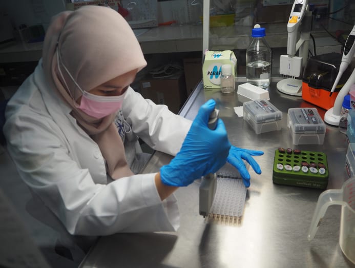 ‘They are my friends’: In Malaysia, Wolbachia mosquitoes fight their ...